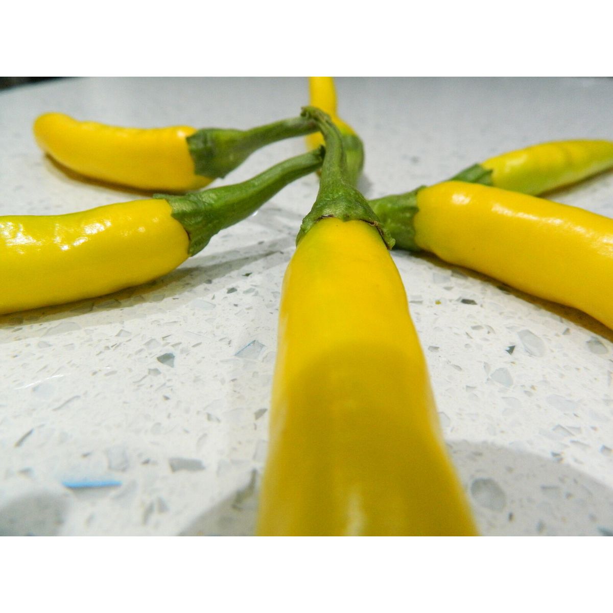 Aji Amarillo Chilli Seeds - A Fine Pepper from Peru - Red Dragon Seeds