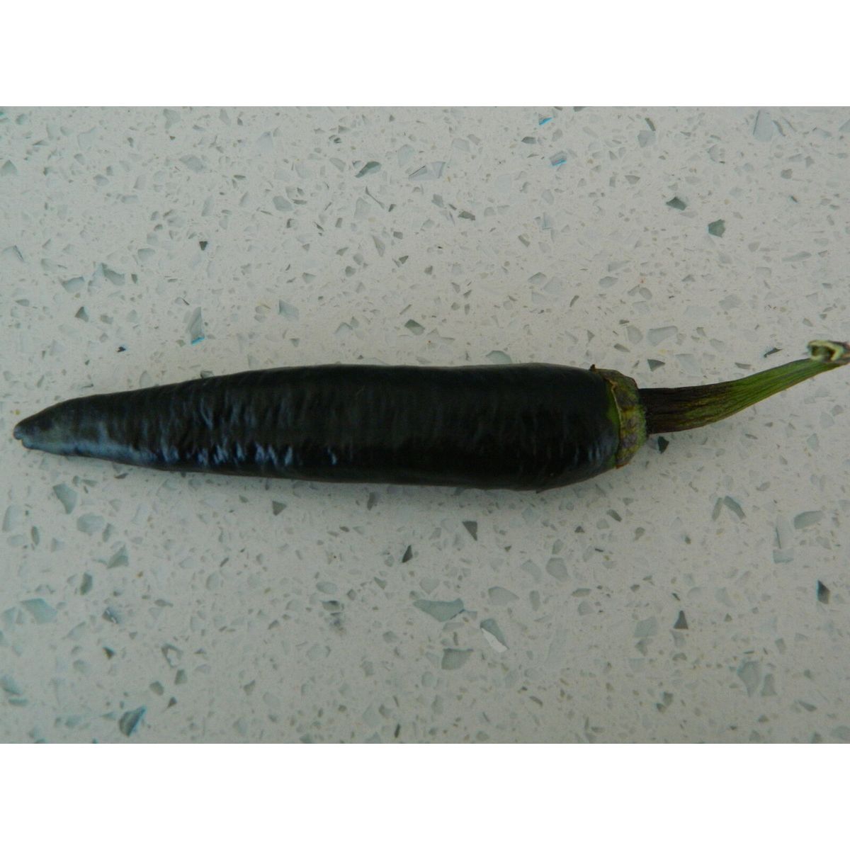 Czech Black Chilli Seeds For Sale - Czech Black Pepper Seeds For Sale ...