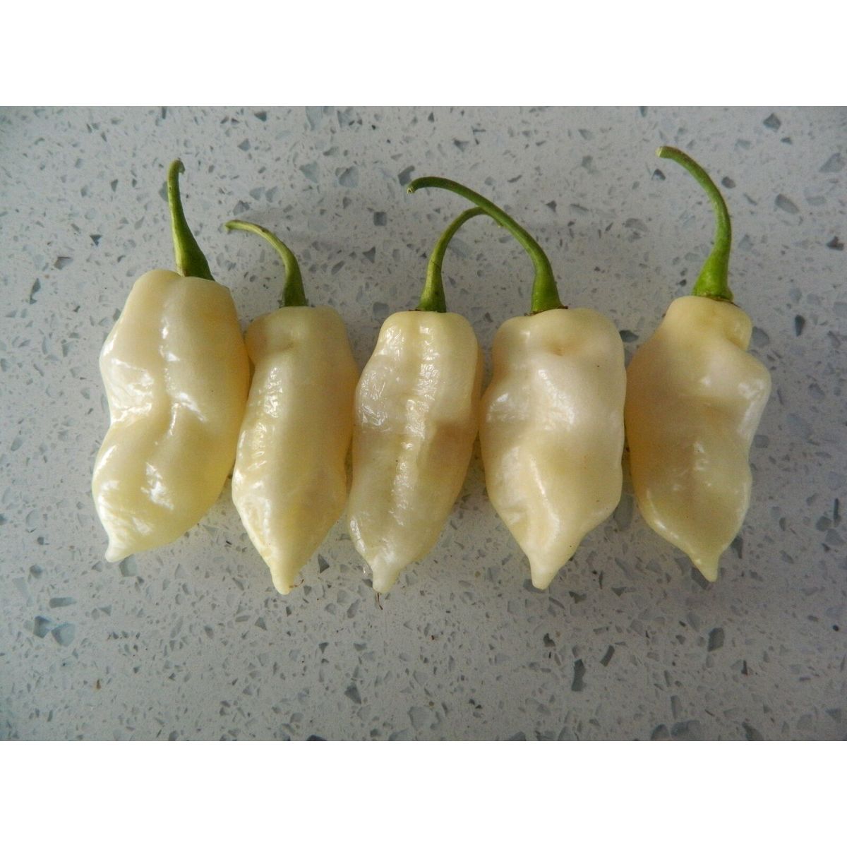 White Fatalii Chilli Seeds - Fresh Fatalii Pepper Seeds - Red Dragon Seeds