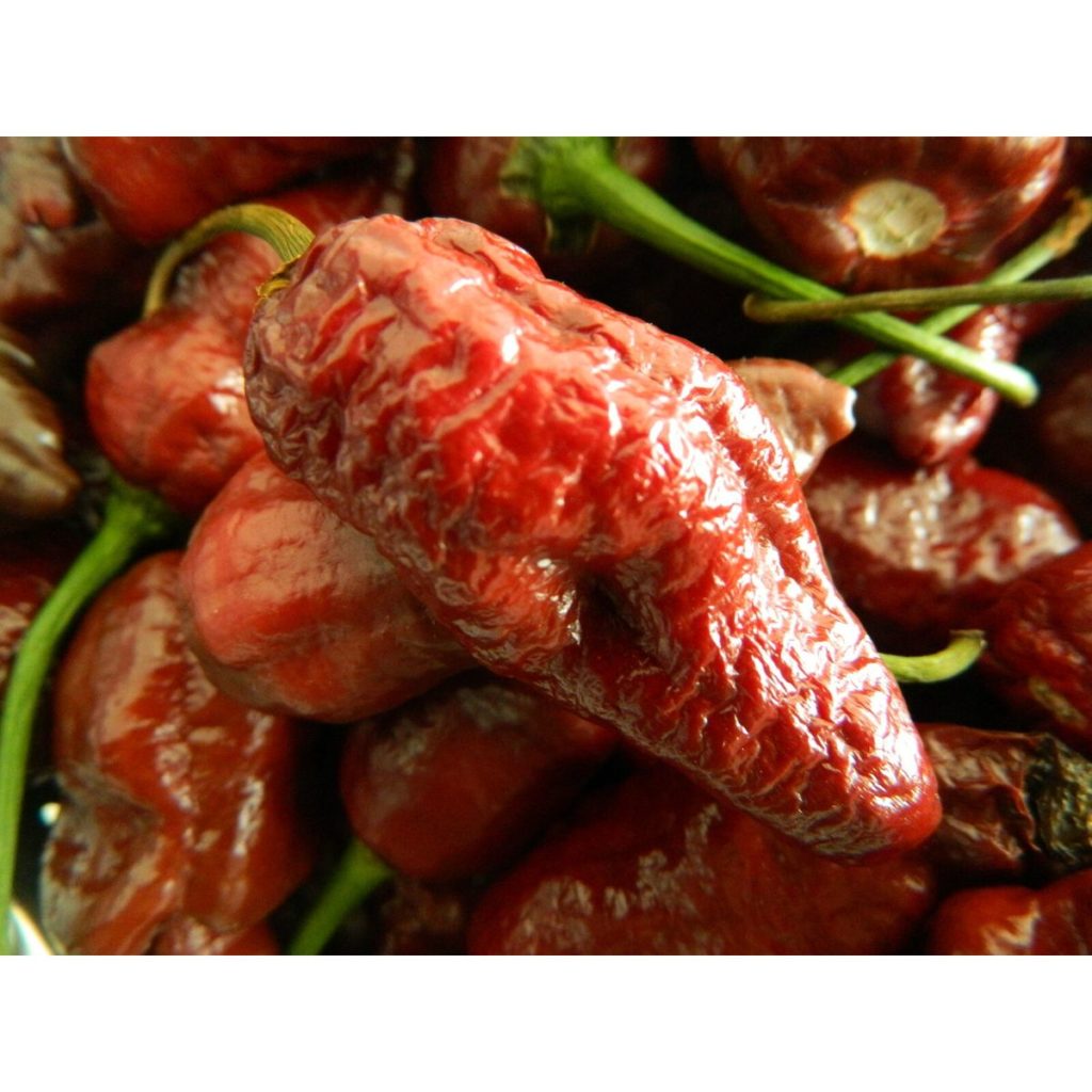 Chocolate Fatalii Chilli Seeds - 10 Fresh Fatalii Brown Pepper Seeds