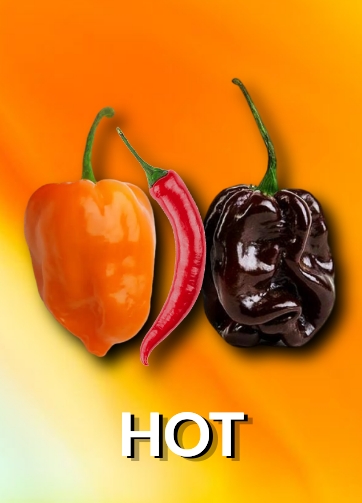 Hot Chilli Seeds - Hot And Spicy Pepper Seeds - Red Dragon Seeds