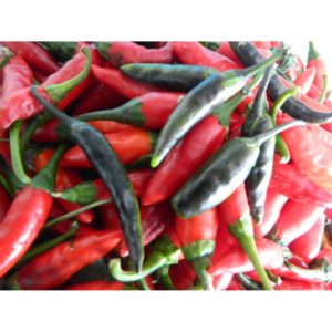 Medium Hot Chilli Seeds from SeedPlanet - World of Medium Hot Pepper Seeds