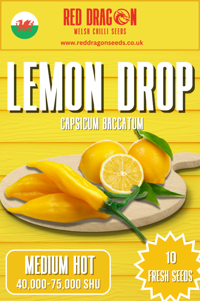 Lemon Drop Chilli Seeds - Aji Limon Pepper Seeds from Red Dragon Seeds