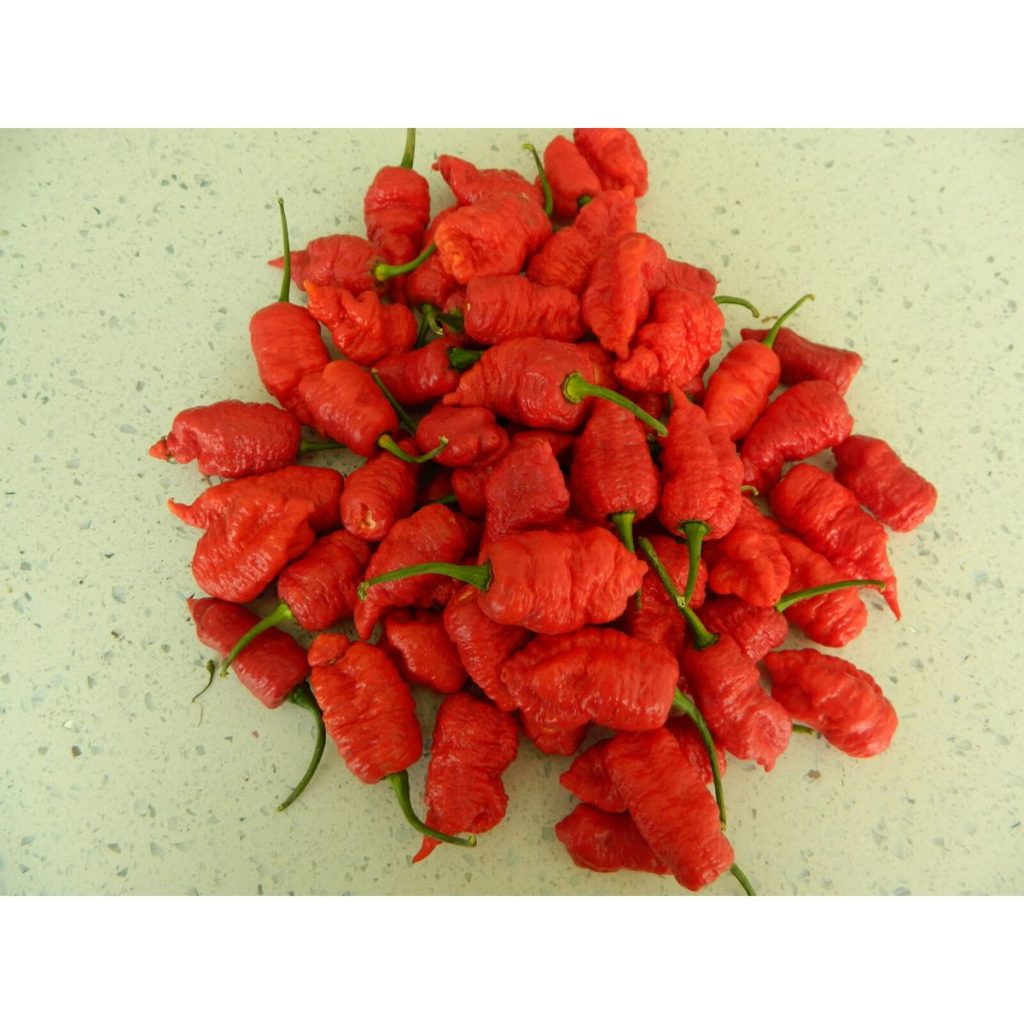 Death Spiral Chilli Seeds - Buy These Wacky Pepper Seeds from Red ...