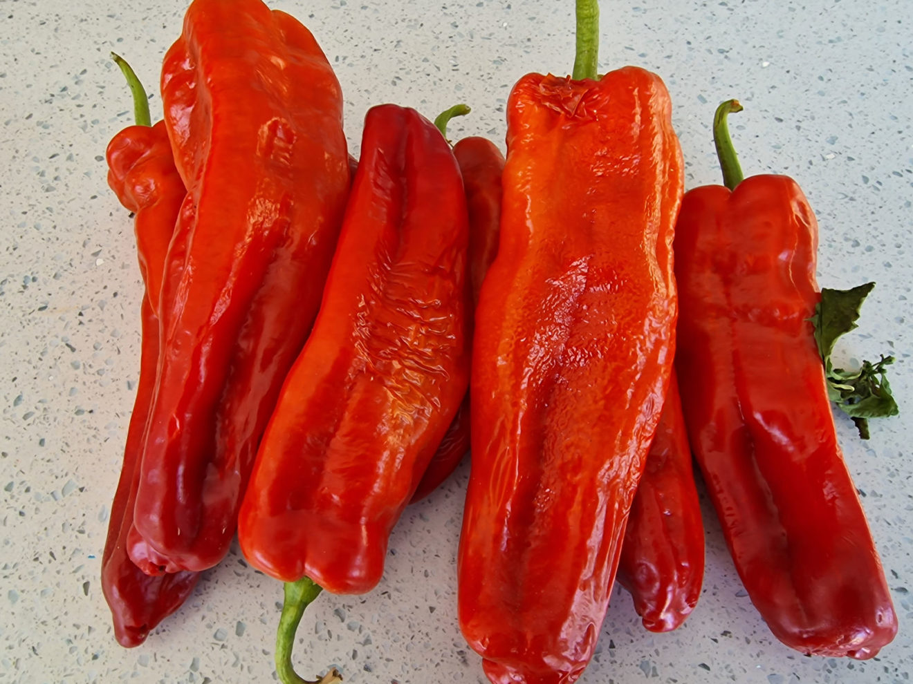 Big Jim Chilli Seeds - Numex Big Jim Pepper Seeds - Red Dragon Seeds