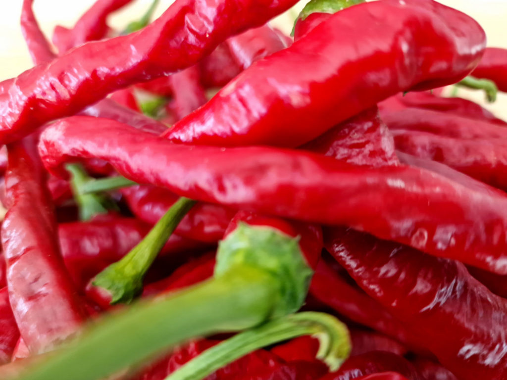 HJ7 Super Nova Space Chilli Seeds - HJ7 Super Nova Space Pepper Seeds ...