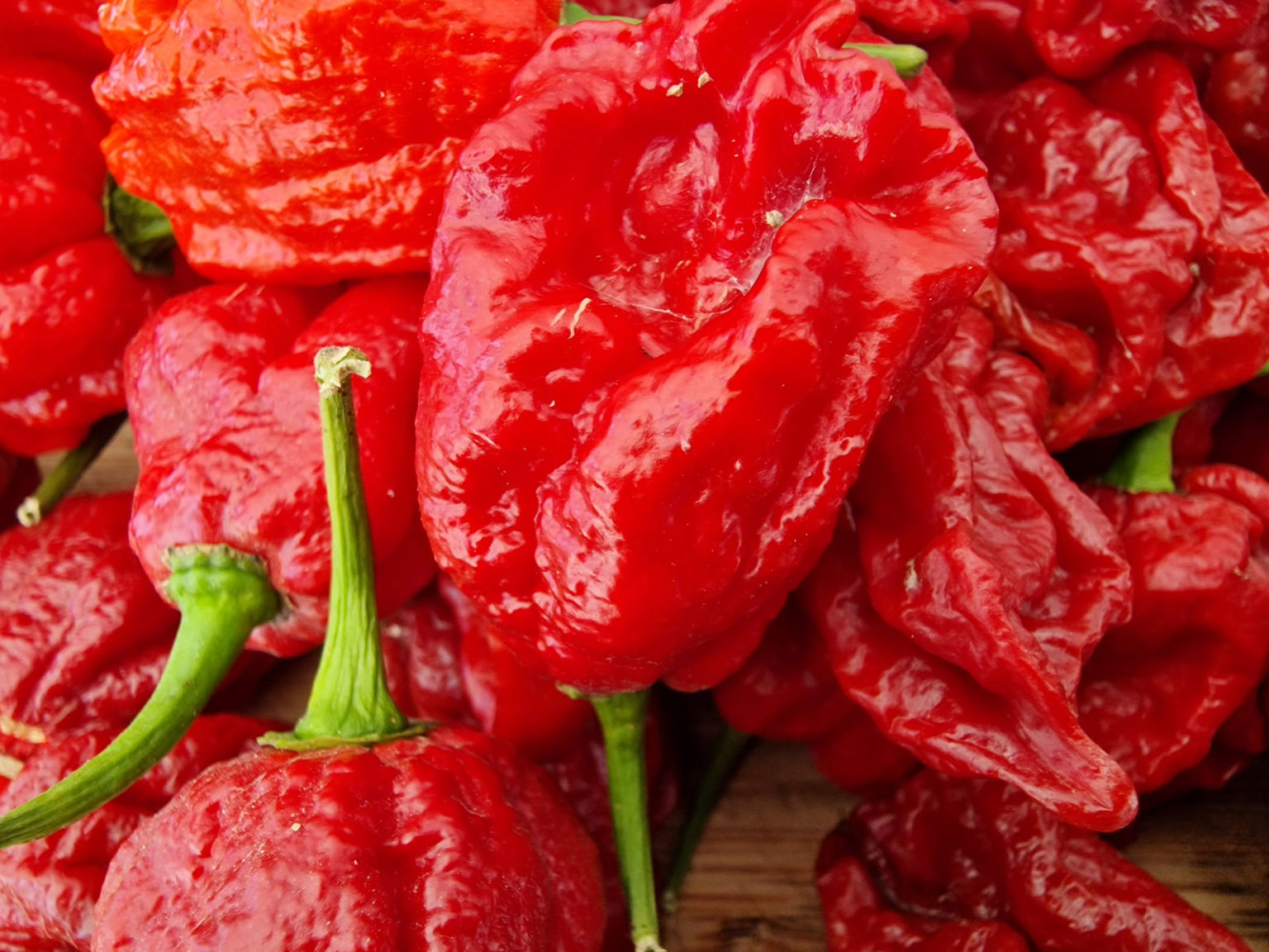 Barrackpore 7 Pot Chilli Seeds - Barrackpore 7 Pod Pepper Seeds - Red ...