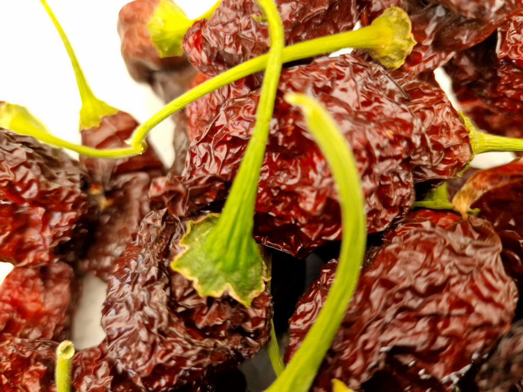 Aji Panca Chilli Seeds - Aji Panca Peru Pepper Seeds - Red Dragon Seeds