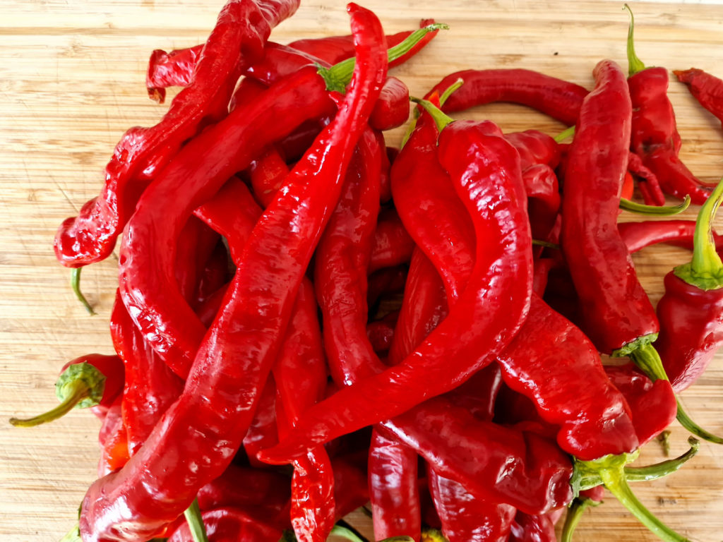 HJ8 Total Eclipse Space Chilli Seeds - HJ8 Total Eclipse Space Pepper ...