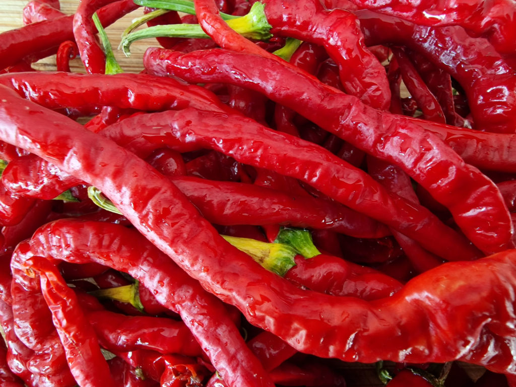 HJ4 Comets Tail Space Chilli Seeds - HJ4 Comets Tail Space Pepper Seeds ...