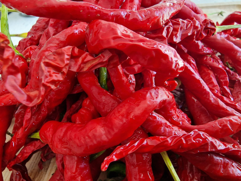 HJ7 Super Nova Space Chilli Seeds - HJ7 Super Nova Space Pepper Seeds ...