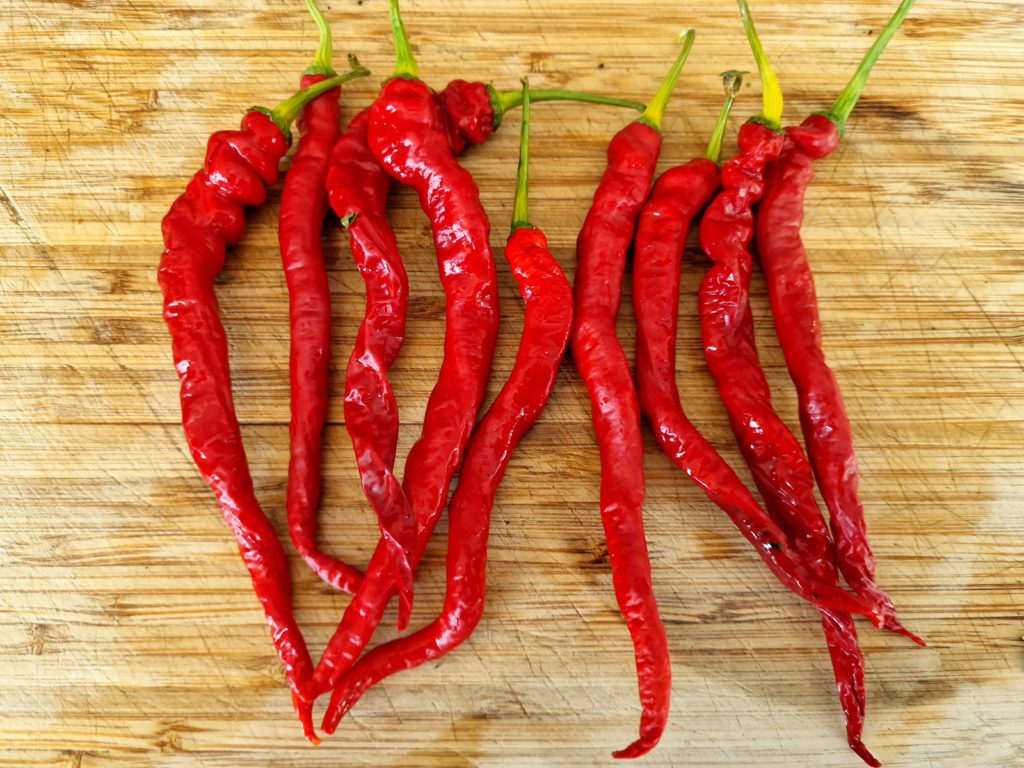 HJ7 Super Nova Space Chilli Seeds - HJ7 Super Nova Space Pepper Seeds ...