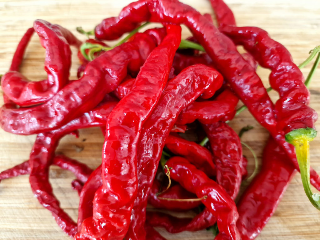 HJ5 Helix Nebula Space Chilli Seeds - HJ5 Helix Nebula Space Pepper ...