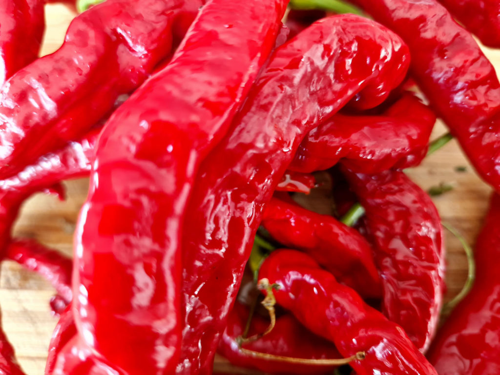 HJ5 Helix Nebula Space Chilli Seeds - HJ5 Helix Nebula Space Pepper ...