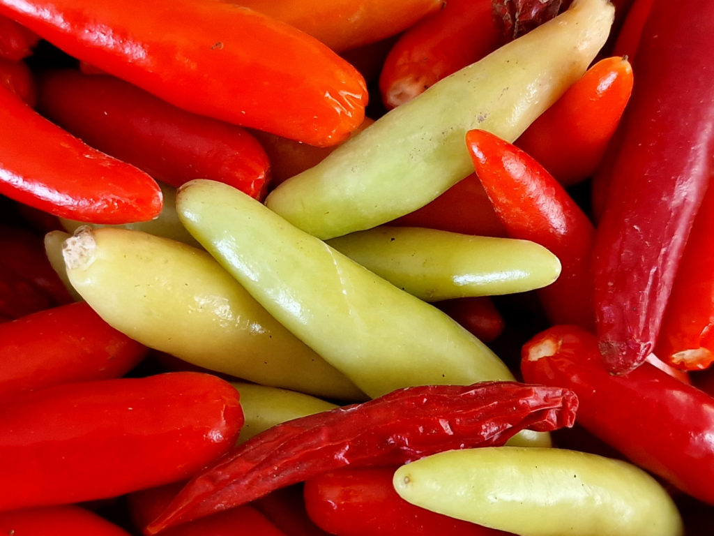 KS White Thai Chilli Seeds - Khang Starr White Thai Pepper Seeds - Red ...