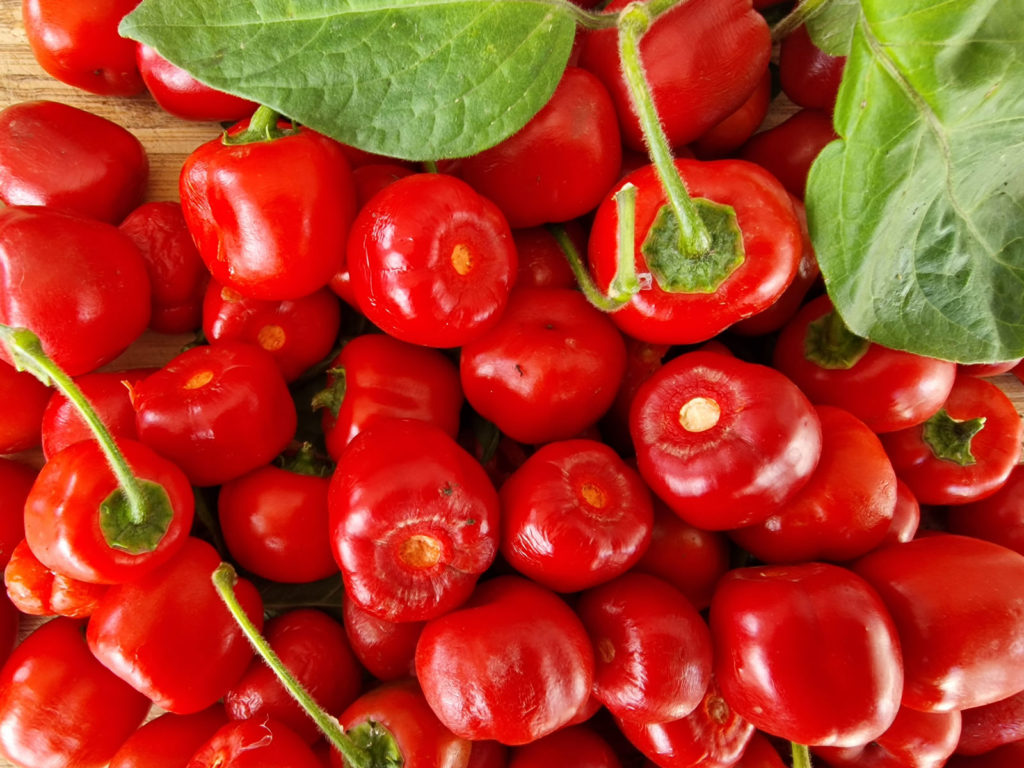 Rocoto Red Chilli Seeds - Rocoto Red Pepper Seeds - Red Dragon Seeds