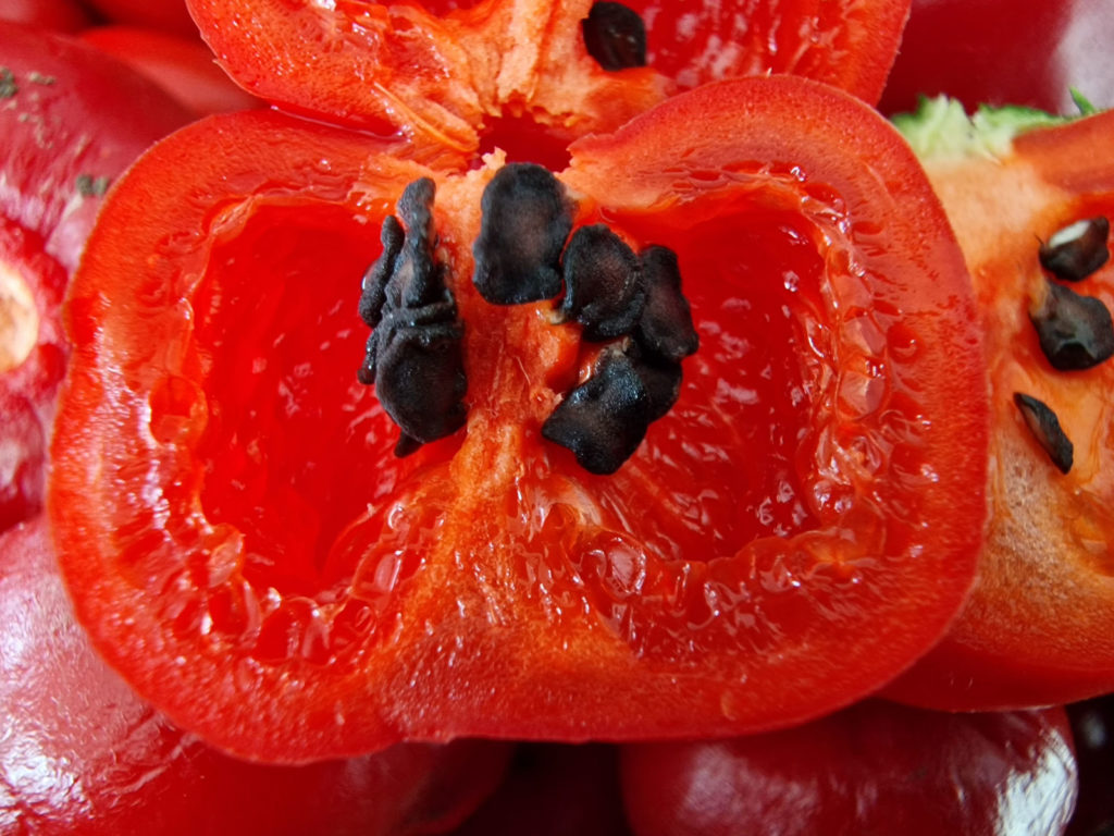 Rocoto Red Chilli Seeds - Rocoto Red Pepper Seeds - Red Dragon Seeds