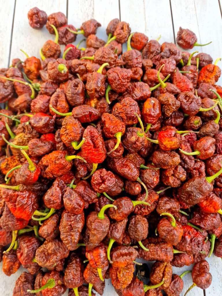 HellBoy Chilli Seeds - Hell Boy Pepper Seeds - Red Dragon Seeds