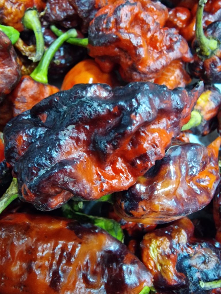 Purple Death Chilli Seeds - Purple Death Pepper Seeds - Red Dragon Seeds