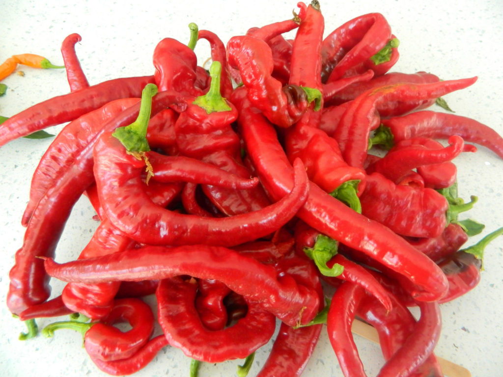 HJ6 Pulsar Space Chilli Seeds - HJ6 Pulsar Space Pepper Seeds - Red ...