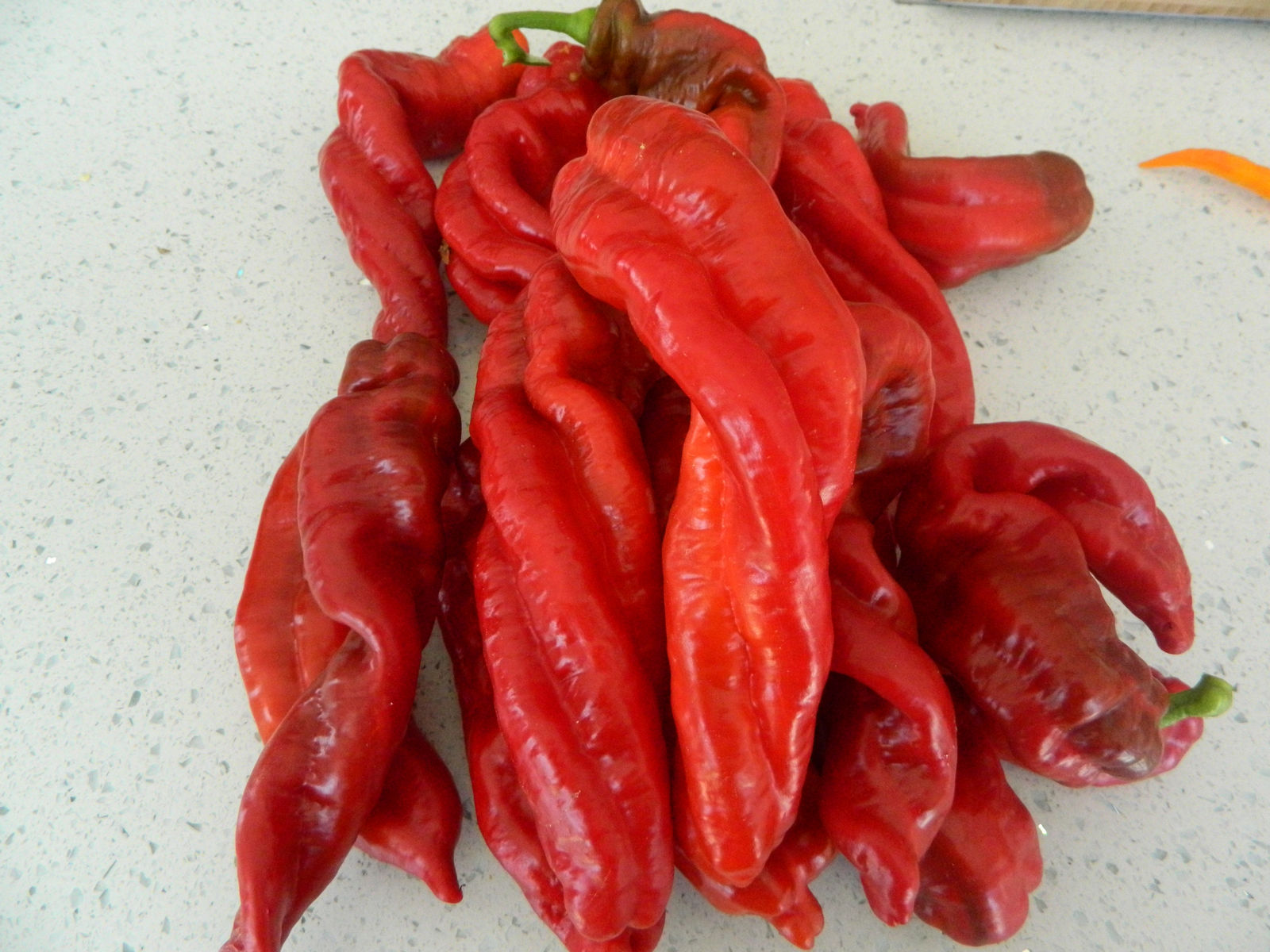 HJ9 Big Bang Space Chilli Seeds - Hangjiao 9 Big Bang Space Pepper ...