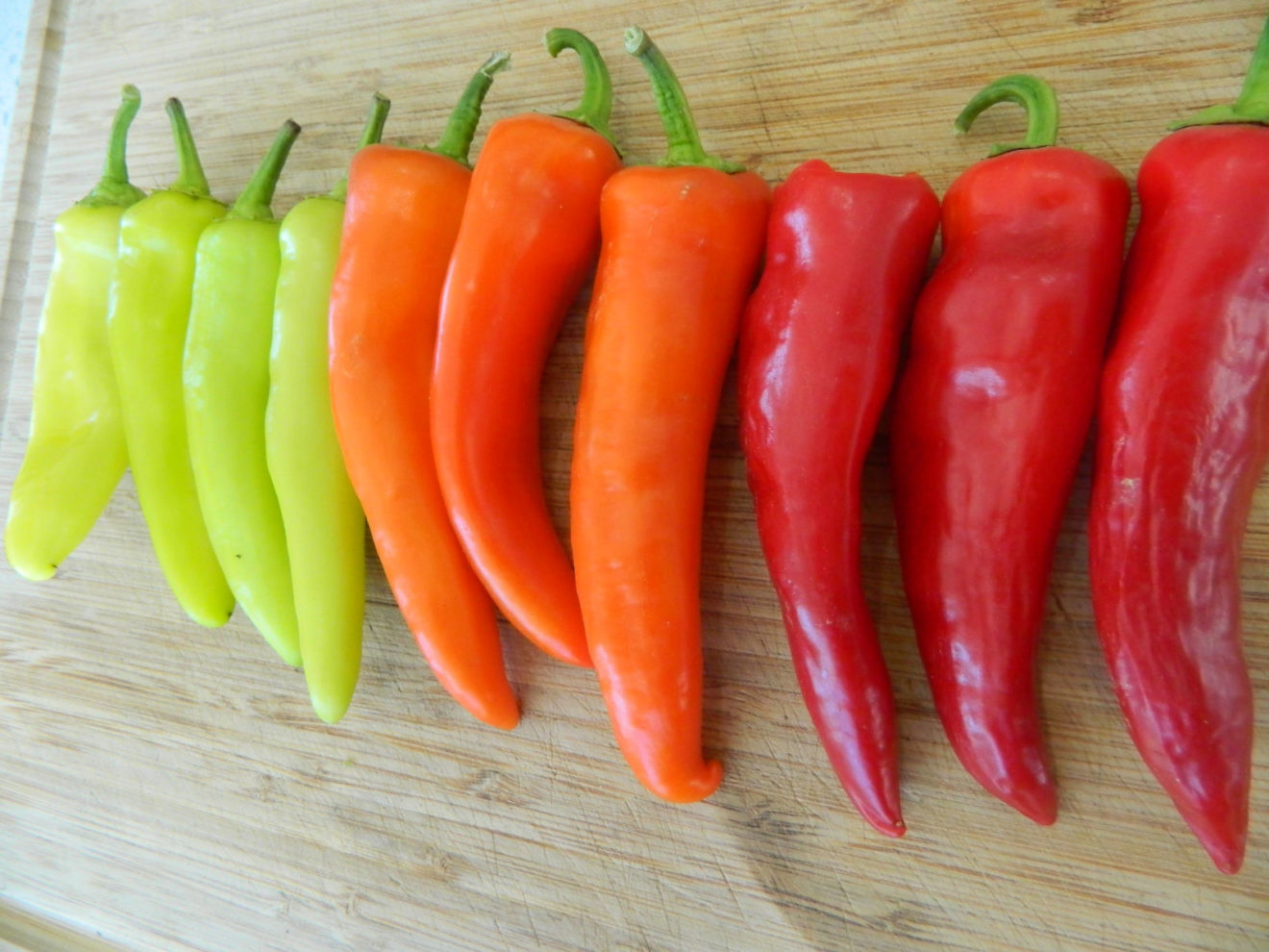 Hungarian Hot Wax Chilli Seeds - Hungarian Hot Wax Pepper Seeds - Red ...