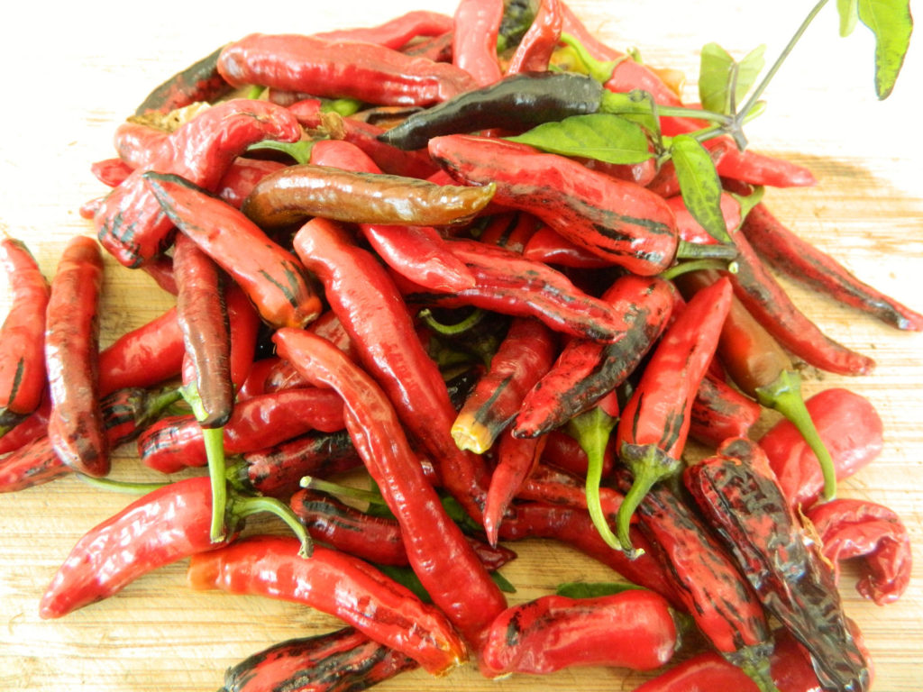 Purple Naga Jolokia Chilli Seeds - Purple Naga Pepper Seeds - Red ...