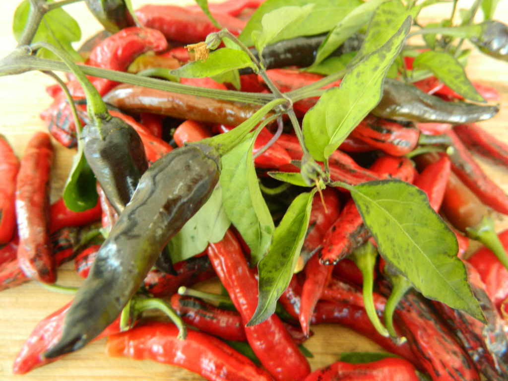 Purple Naga Jolokia Chilli Seeds - Purple Naga Pepper Seeds - Red ...