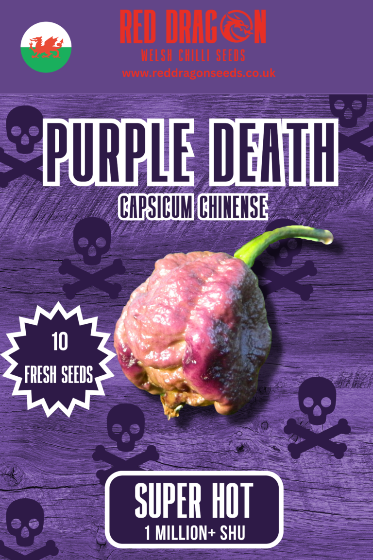 Purple Death Chilli Seeds - Purple Death Pepper Seeds - Red Dragon Seeds