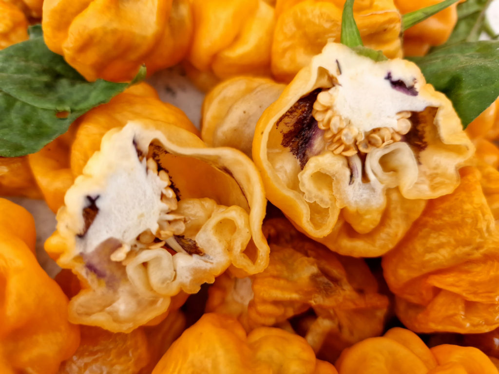 Purple Ghost Scorpion Orange Chilli Seeds - Purple Ghost Scorpion ...