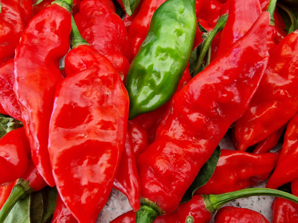 Devils Rib Chilli Seeds - Rare Devils Rib Pepper Seeds - Red Dragon Seeds