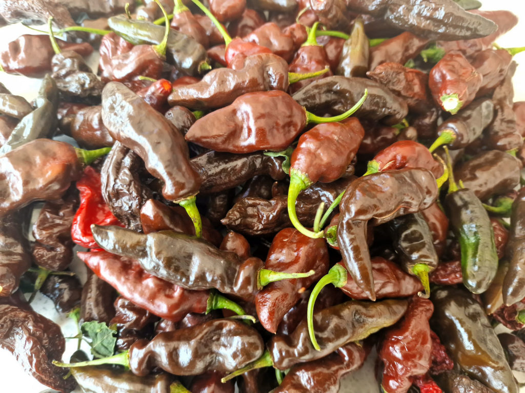 Devils Tongue Chocolate Chilli Seeds - Chocolate Devils Tongue Seeds ...