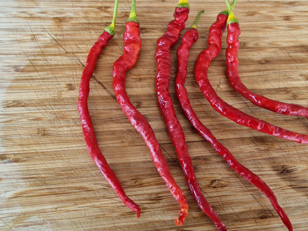 Hangjiao Space Chilli Seeds Variety Pack - Full Pack of all 10 ...