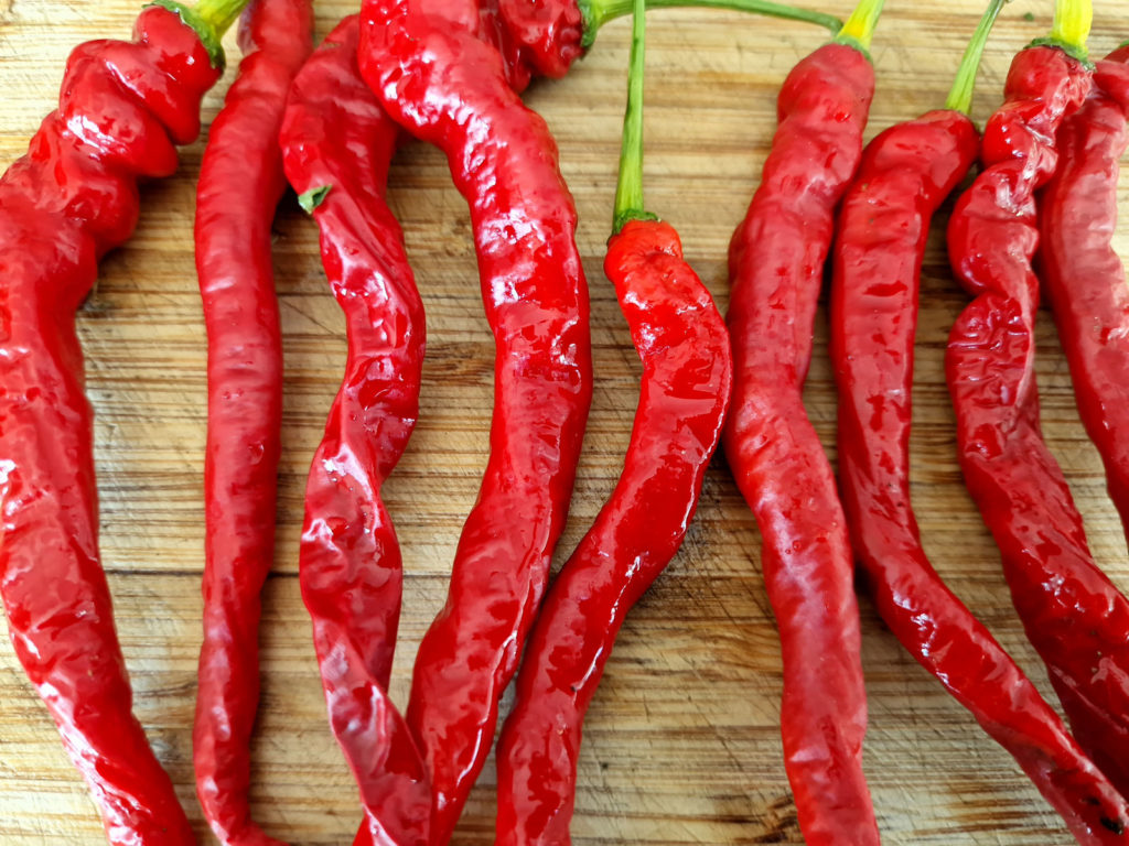 Hangjiao Space Chilli Seeds Variety Pack - Full Pack of all 10 ...