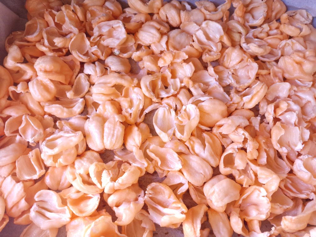 7 Pot Pink Chilli Seeds - 7 Pot Pink Pepper Seeds - Red Dragon Seeds