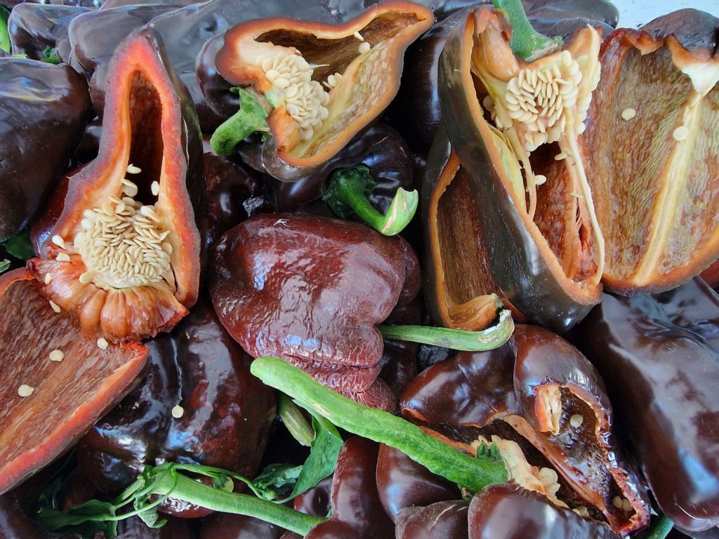 Chilli Seed Kit Special Collection - 10 Incredible Chilli Peppers ...