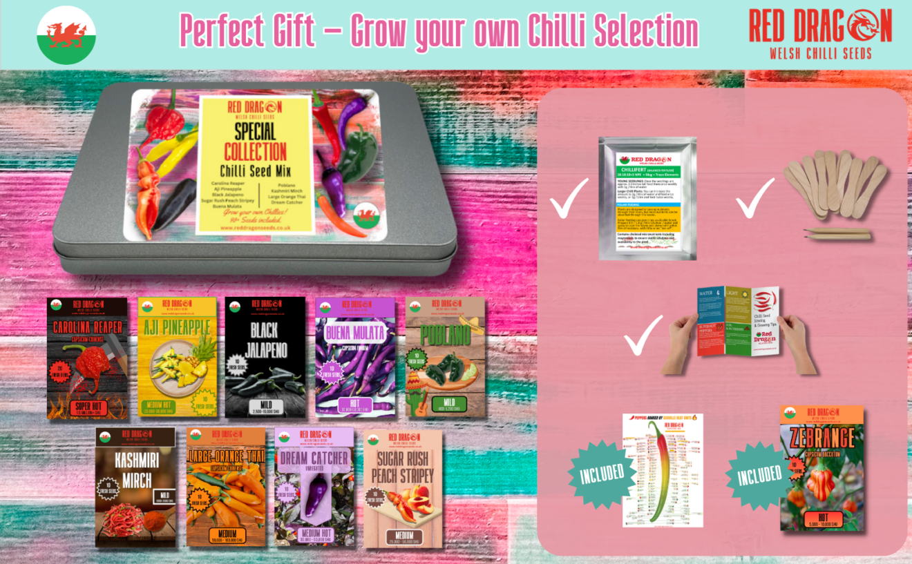 Chilli Seed Kit Special Collection - 10 Incredible Chilli Peppers ...