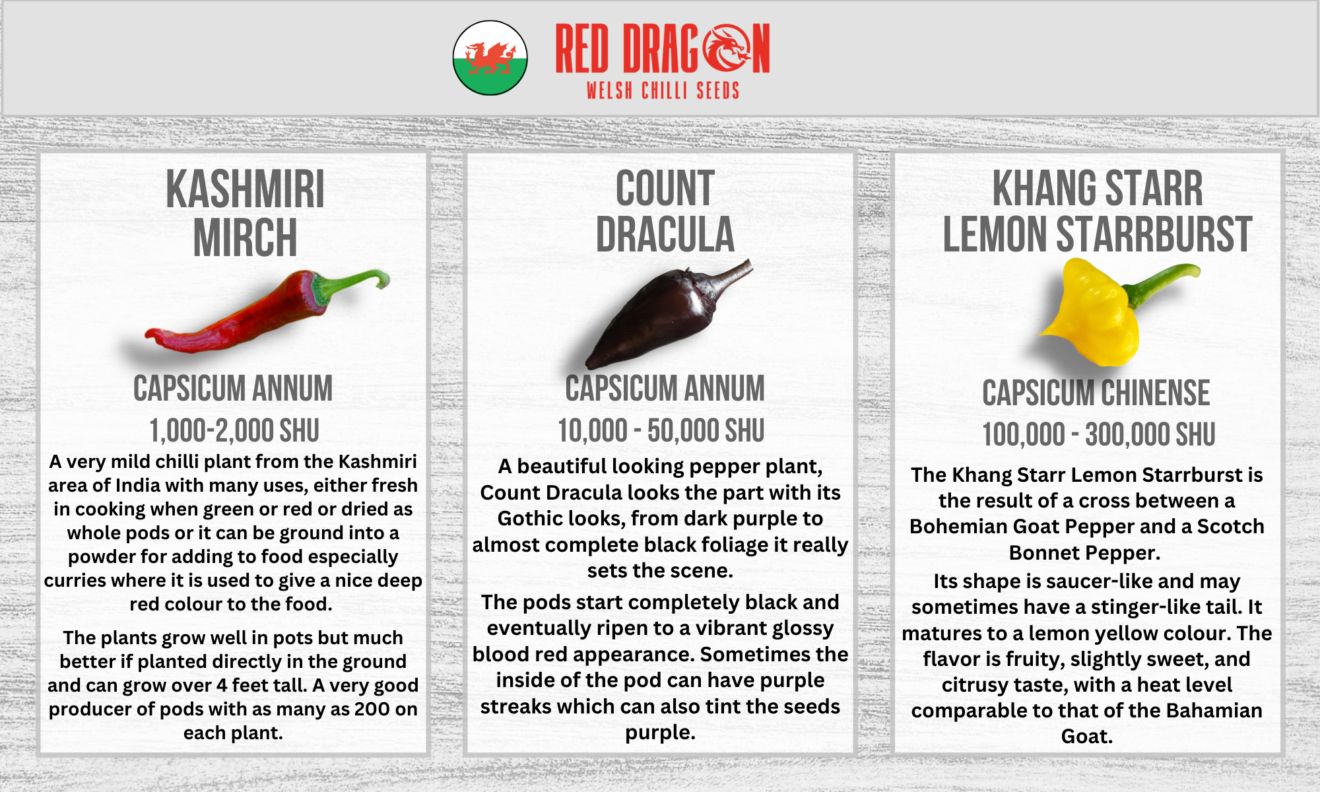 Chilli Seed Kit Special Collection - 8 Chilli Peppers Varieties Included