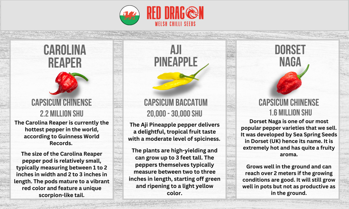 Chilli Seed Kit Special Collection - 8 Chilli Peppers Varieties Included