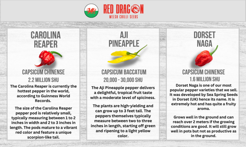 Chilli Seed Kit Special Collection - 8 Chilli Peppers Varieties Included