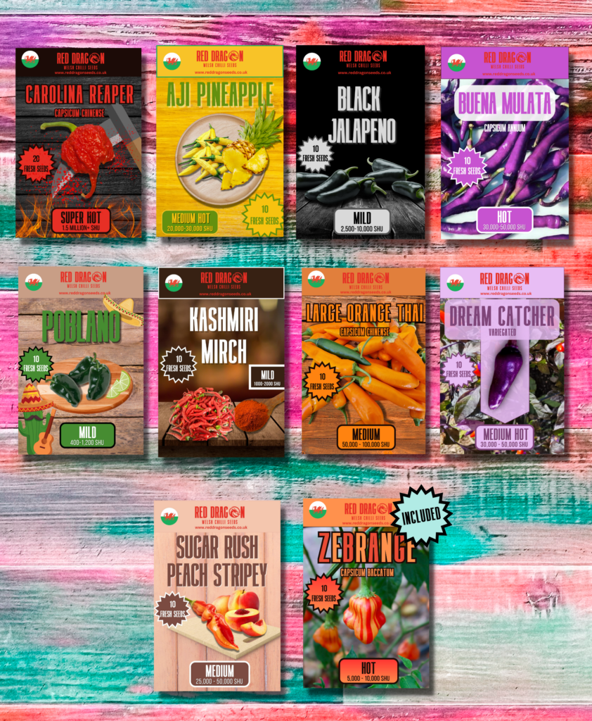 Chilli Seed Kit Special Collection - 10 Incredible Chilli Peppers ...