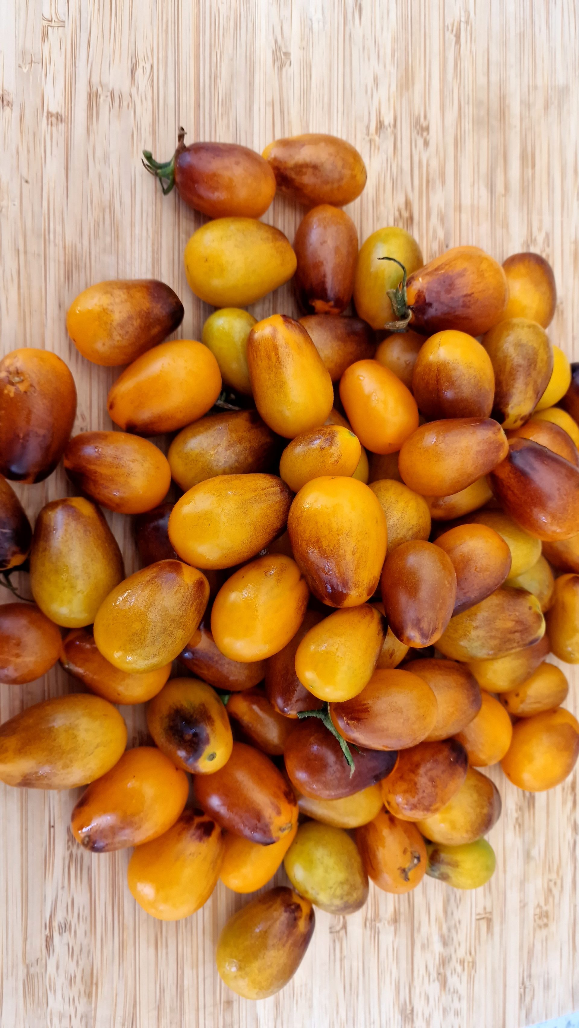 Indigo Pear Drops Tomato Seeds Chilli Seeds For Sale - Indigo Pear ...