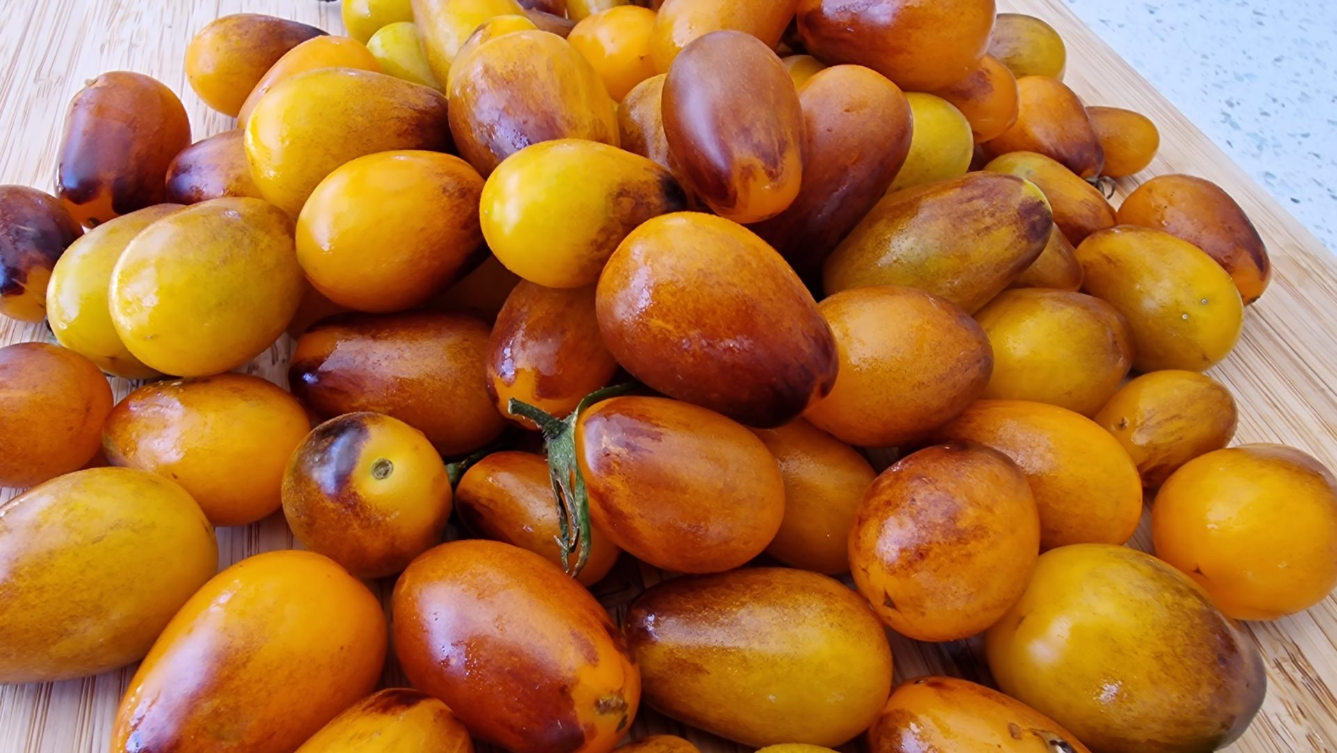 Indigo Pear Drops Tomato Seeds Chilli Seeds For Sale - Indigo Pear ...