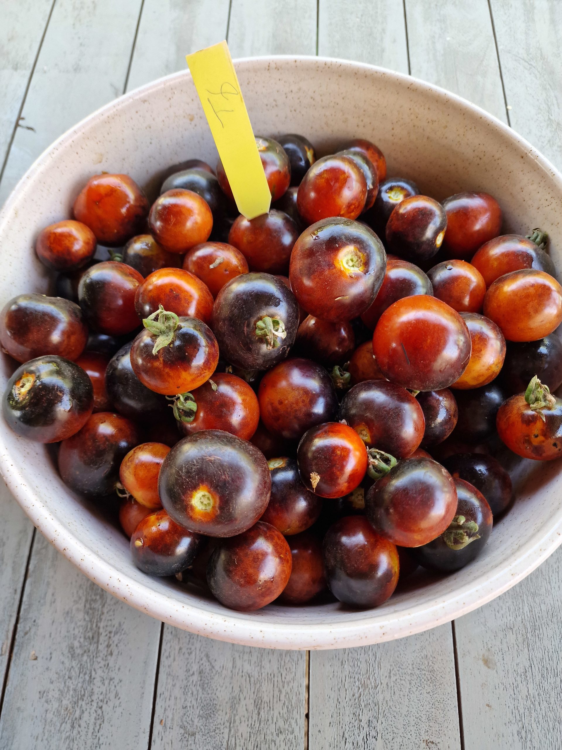 Indigo Rose Tomato Seeds Chilli Seeds For Sale - Indigo Rose Tomato ...