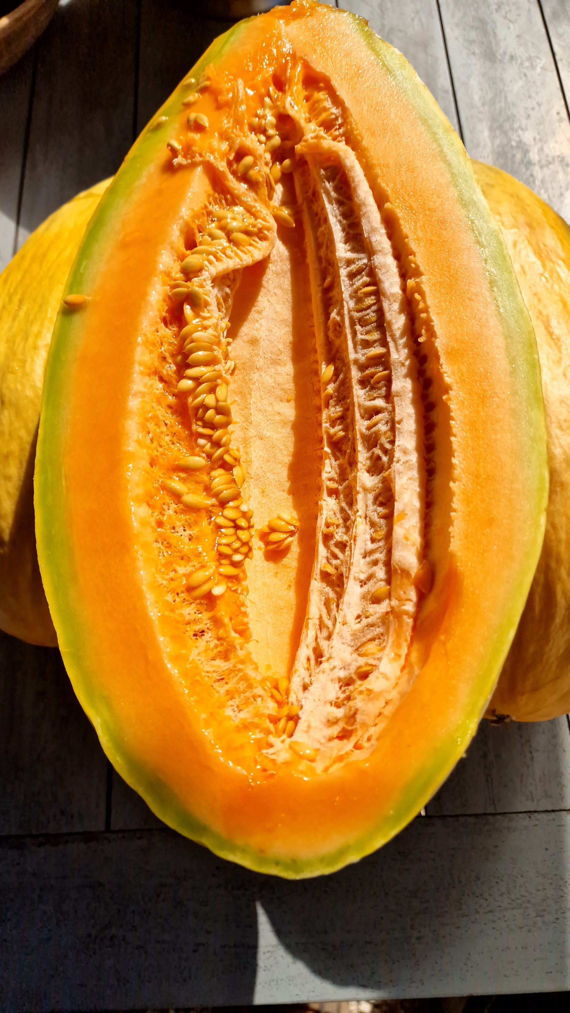 Banana Melon Chilli Seeds For Sale - Banana Melon Pepper Seeds For Sale ...