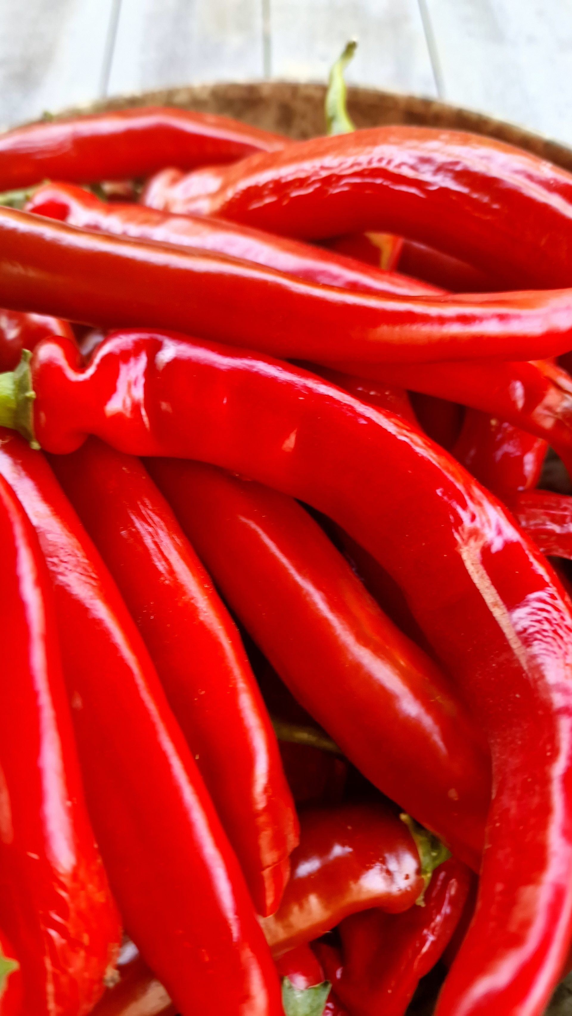 Serrano Chilli Seeds - Serrano Pepper Seeds - Red Dragon Seeds