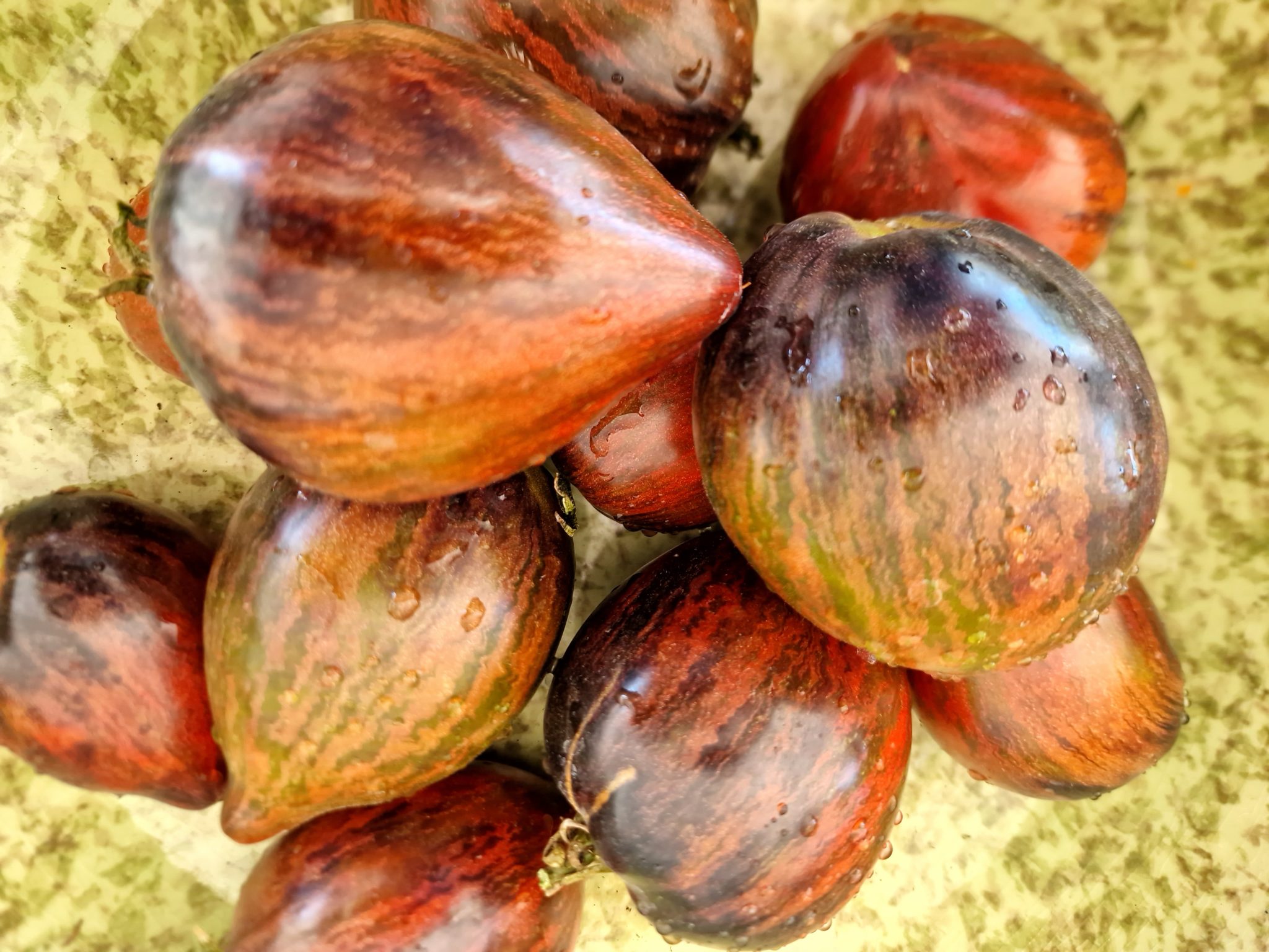 Rebel Starfighter Prime Tomato Seeds - Rebel Starfighter Prime Tomato ...