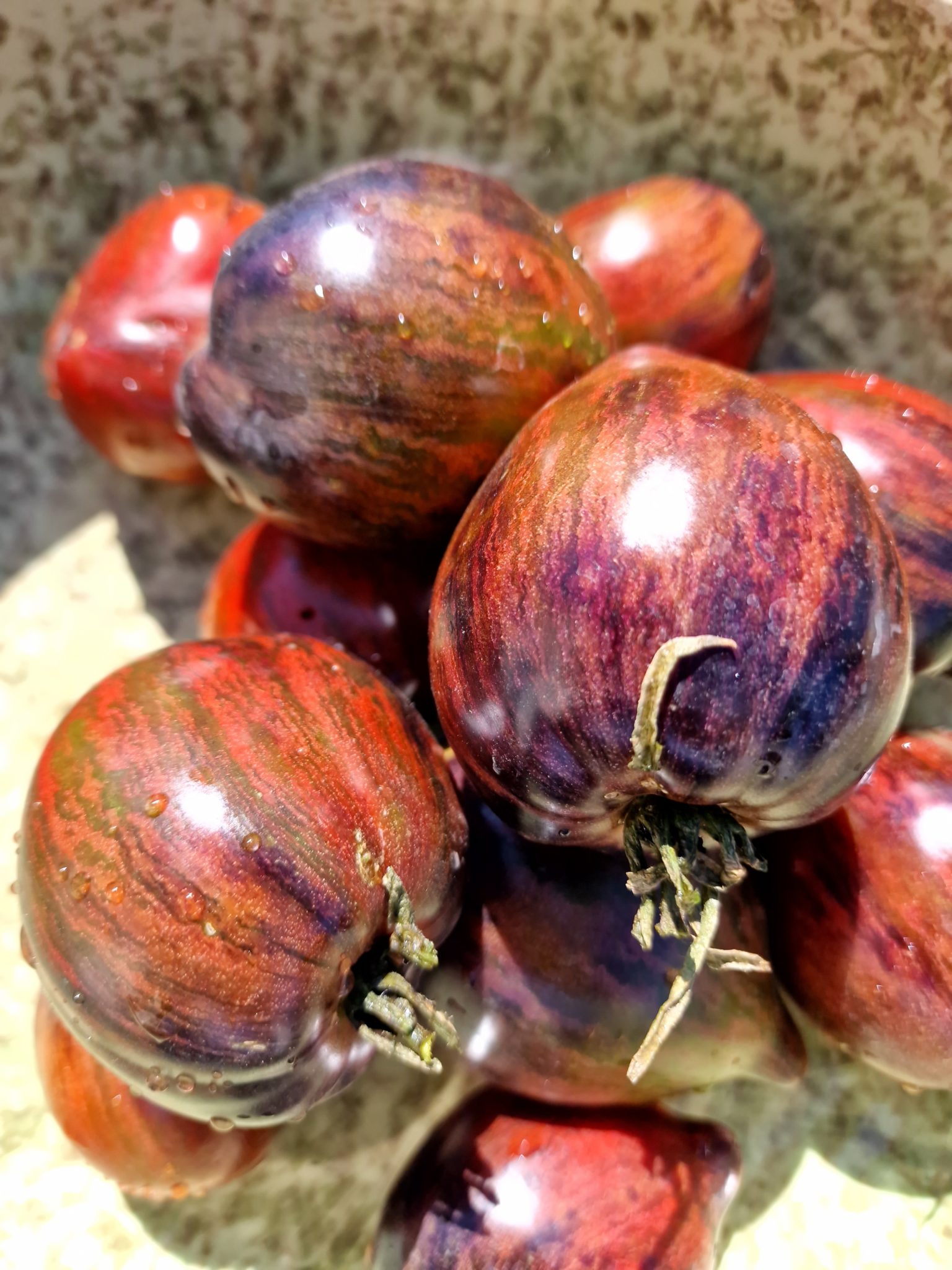 Rebel Starfighter Prime Tomato Seeds - Rebel Starfighter Prime Tomato ...