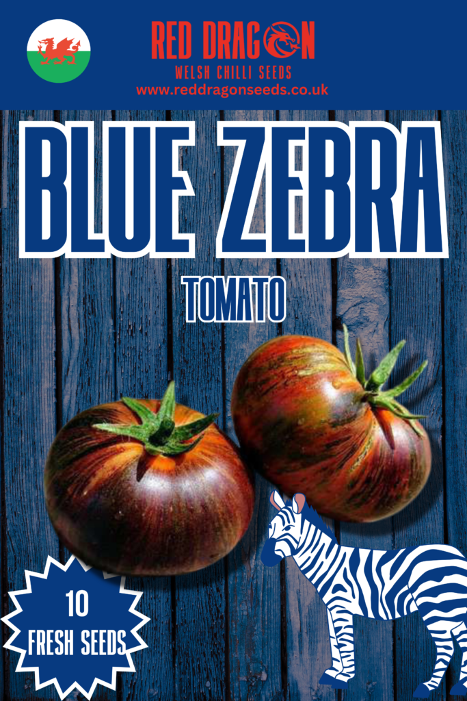 Blue Zebra Tomato Seeds Chilli Seeds For Sale - Blue Zebra Tomato Seeds ...