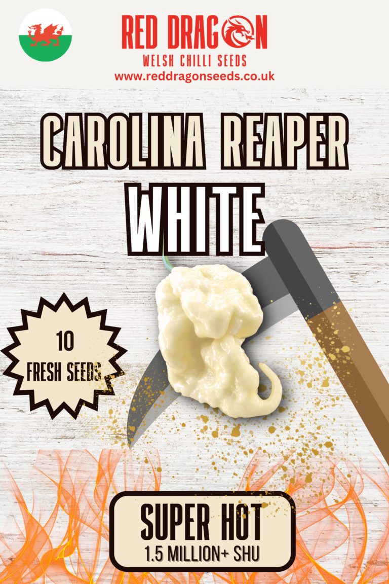 Carolina Reaper White Chilli Seeds - White Reaper Pepper Seeds - Red ...